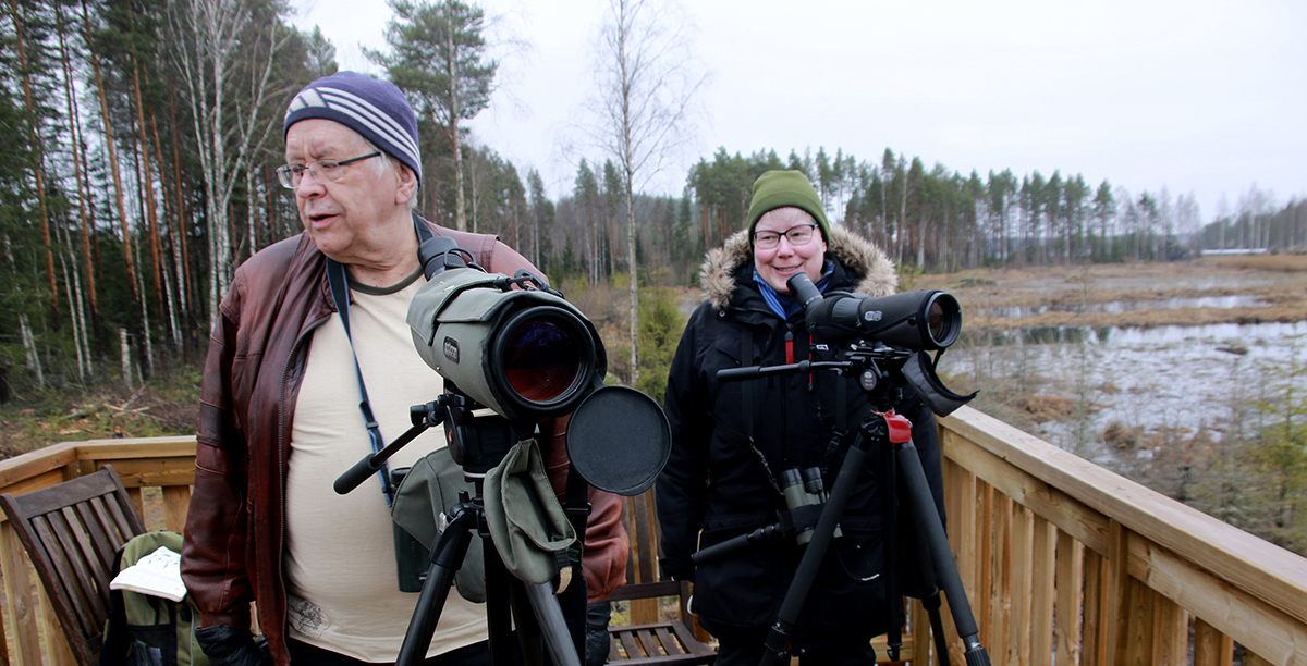 Lintubongausta Iitlahdessa - Sulkava-lehti